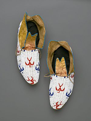 Moccasin Facts for Kids