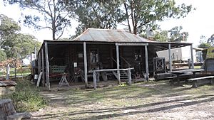 Stanthorpe, Queensland Facts for Kids
