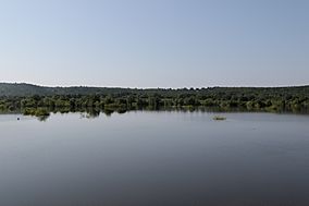 Lake Wister State Park Facts for Kids