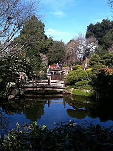 Central Park (San Mateo) Facts for Kids