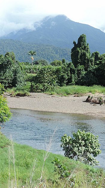 Russell River (Queensland) Facts for Kids