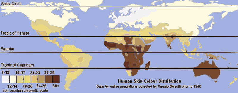 Image: Unlabeled Renatto Luschan Skin color map