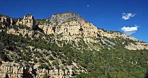 Straight Cliffs Formation Facts for Kids