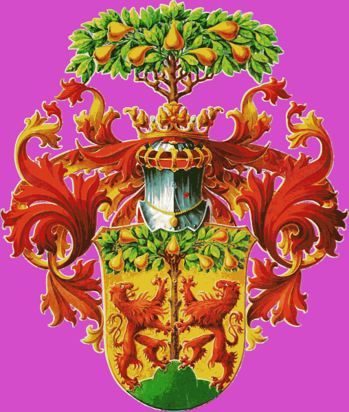 Image: Escudo completo de ciudad Pirna (dibujo)