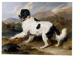 Seaman (dog) Facts for Kids