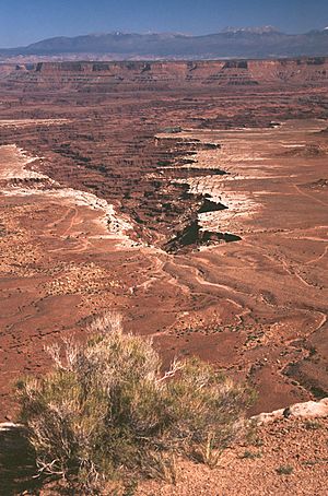 White Rim Sandstone Facts for Kids