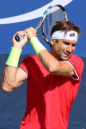 David Ferrer Facts for Kids