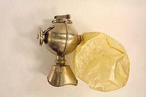 History of hospitals Facts for Kids