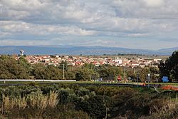 Borore Facts for Kids