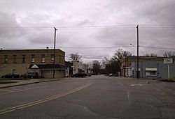 Muir, Michigan Facts for Kids