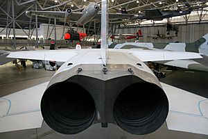 BAC TSR-2 Facts for Kids
