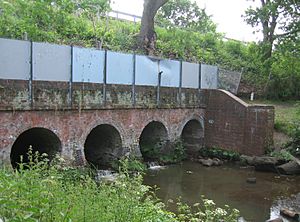 Cove Brook Facts for Kids