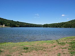 Leesville Lake (Ohio) Facts for Kids