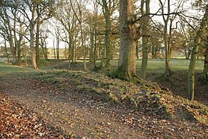 Rock moated site and medieval village Facts for Kids