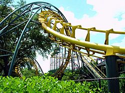 Python (Busch Gardens Tampa Bay) Facts for Kids
