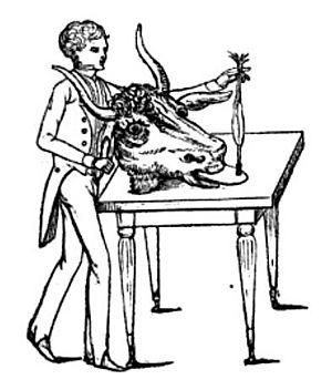 Giovanni Aldini Facts for Kids