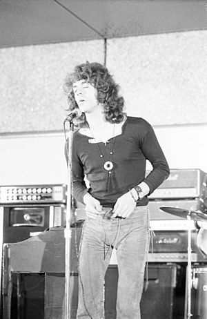 Mike Harrison (musician) Facts for Kids