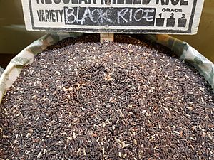 Black rice Facts for Kids