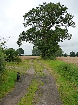 Weald Moors Facts for Kids