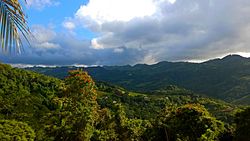 Magueyes, Corozal, Puerto Rico Facts for Kids