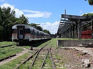 Lucena Facts for Kids