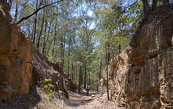 Lapstone, New South Wales Facts for Kids