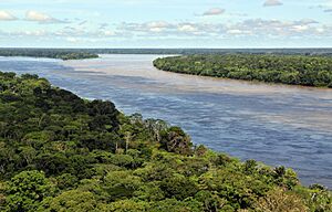 Amazon River Facts for Kids