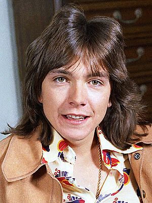 David Cassidy Facts for Kids