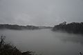 Alabama River Facts for Kids
