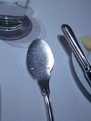French sauce spoon Facts for Kids