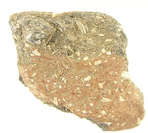 Shelly ware Facts for Kids