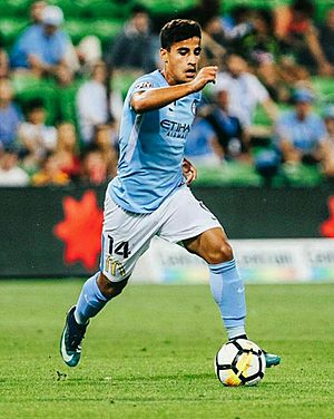 Daniel Arzani Facts for Kids