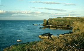 Noss Head Facts for Kids