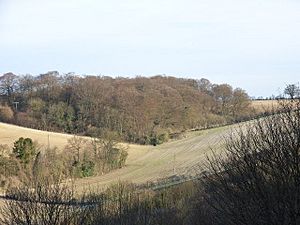 Gomm Valley Facts for Kids