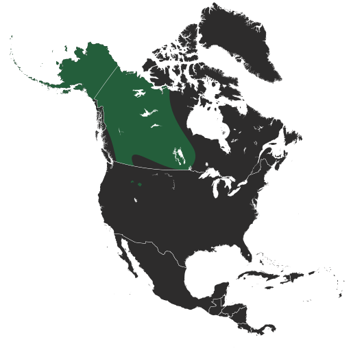 Image: Distribution of Mackenzie Valley Wolf