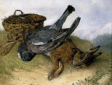 Emily Stannard Facts for Kids