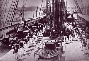 HMS Wolverine (1863) Facts for Kids