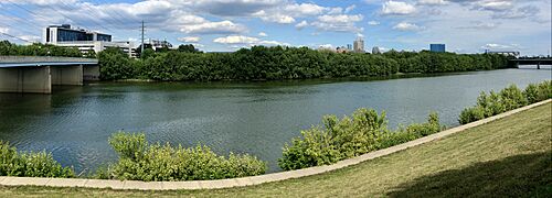 Lilly ARBOR Project Facts for Kids