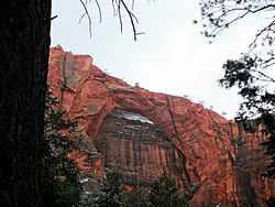 Kolob Arch Facts for Kids