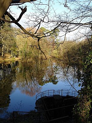 River Len Facts for Kids