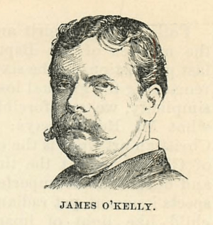 James O'Kelly (politician) Facts for Kids