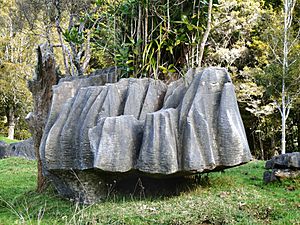 Acid rain Facts for Kids