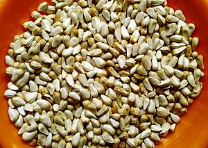 Kusum oil Facts for Kids