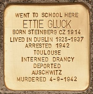 Ettie Steinberg Facts for Kids