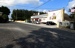 Richard Pyne Facts for Kids