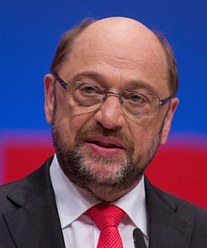 Martin Schulz Facts for Kids