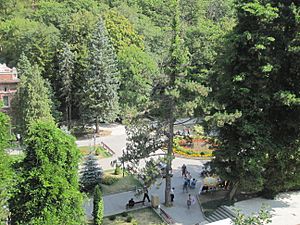 Borjomi (water) for Kids