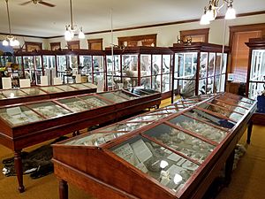 Pember Library and Museum Facts for Kids