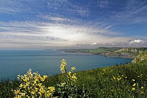 Jurassic Coast Facts for Kids