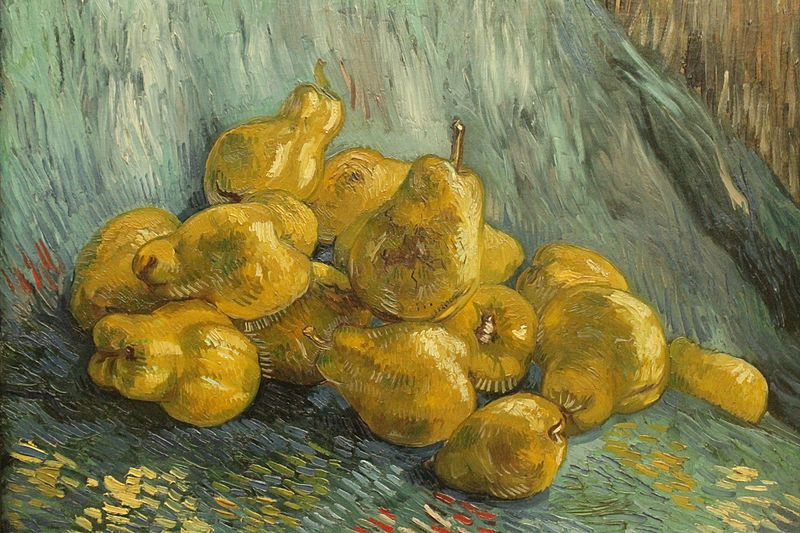 Image: Still Life with Quinces by Vincent van Gogh (1887), Albertinum ...